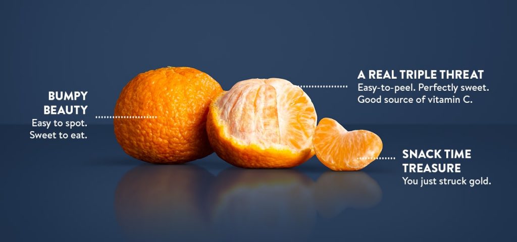 Annotated_Gold-Nugget-min | Sunkist jp